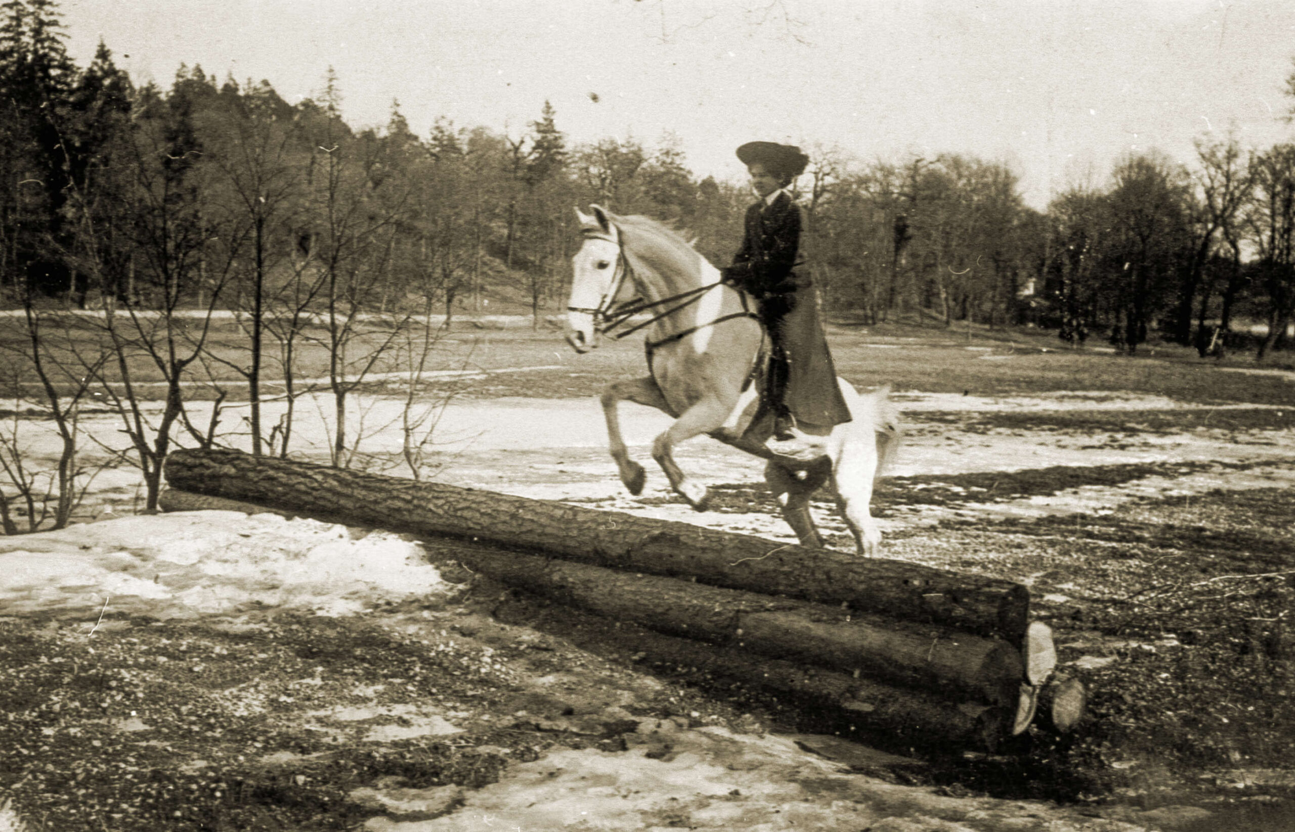 Signe Hammarsten Jansson • Tove Jansson's mother